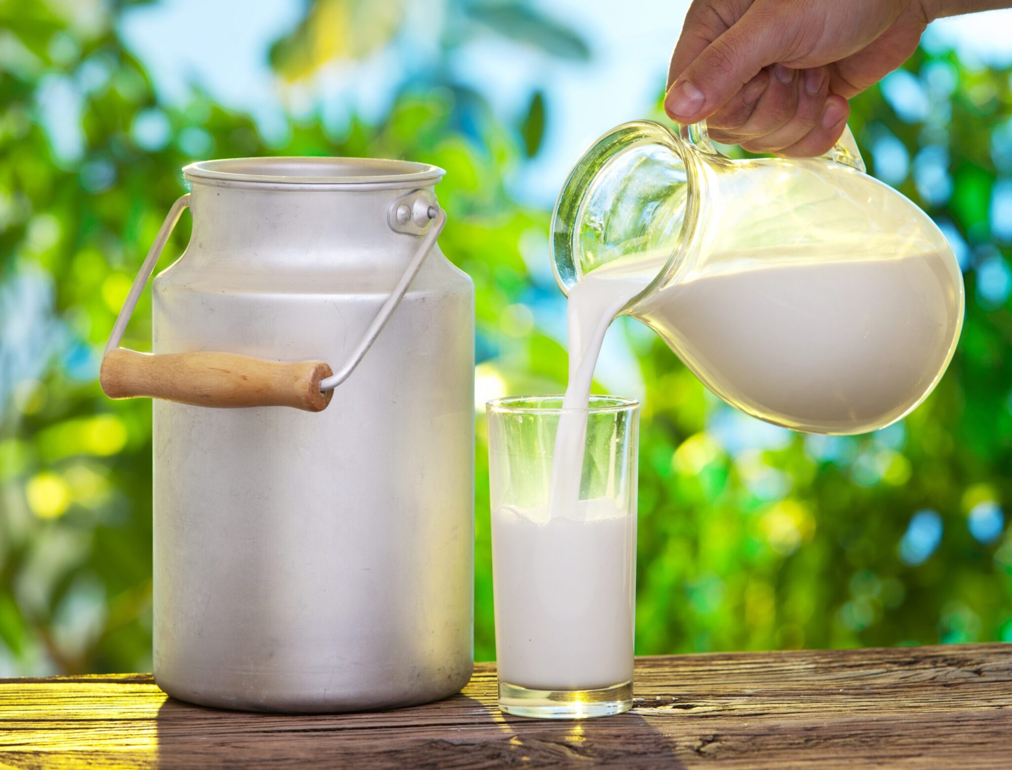 LACTOSE: O QUE É, ENTENDA MAIS SOBRE O ASSUNTO